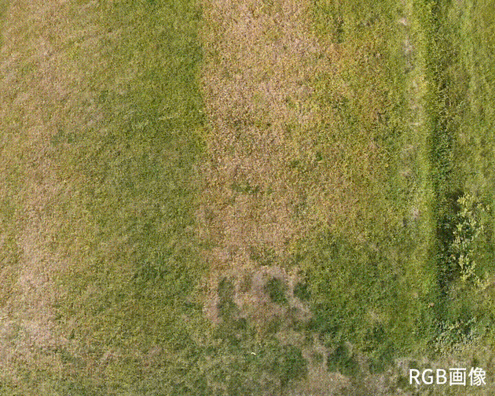 株式会社コハタホームページ | ドローンページ